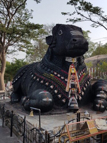 Bull Temple Basavanagudi – Surprising Facts , Timings & Directions – It ...